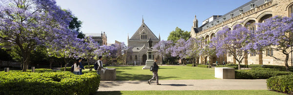 University Graduation Mortarboards | Trencher Caps – Churchill Gowns